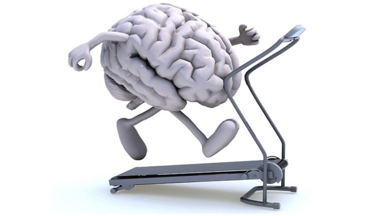 4 Types of Introverts - Human Behavior Lab